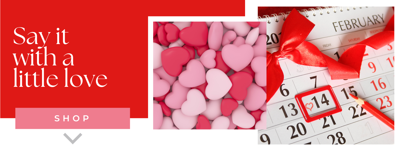 Paper Herald - Stationery Store